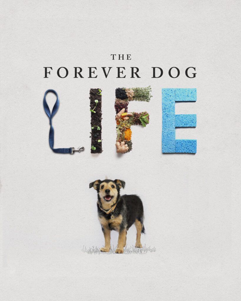 Formulation - The Forever Dog Life