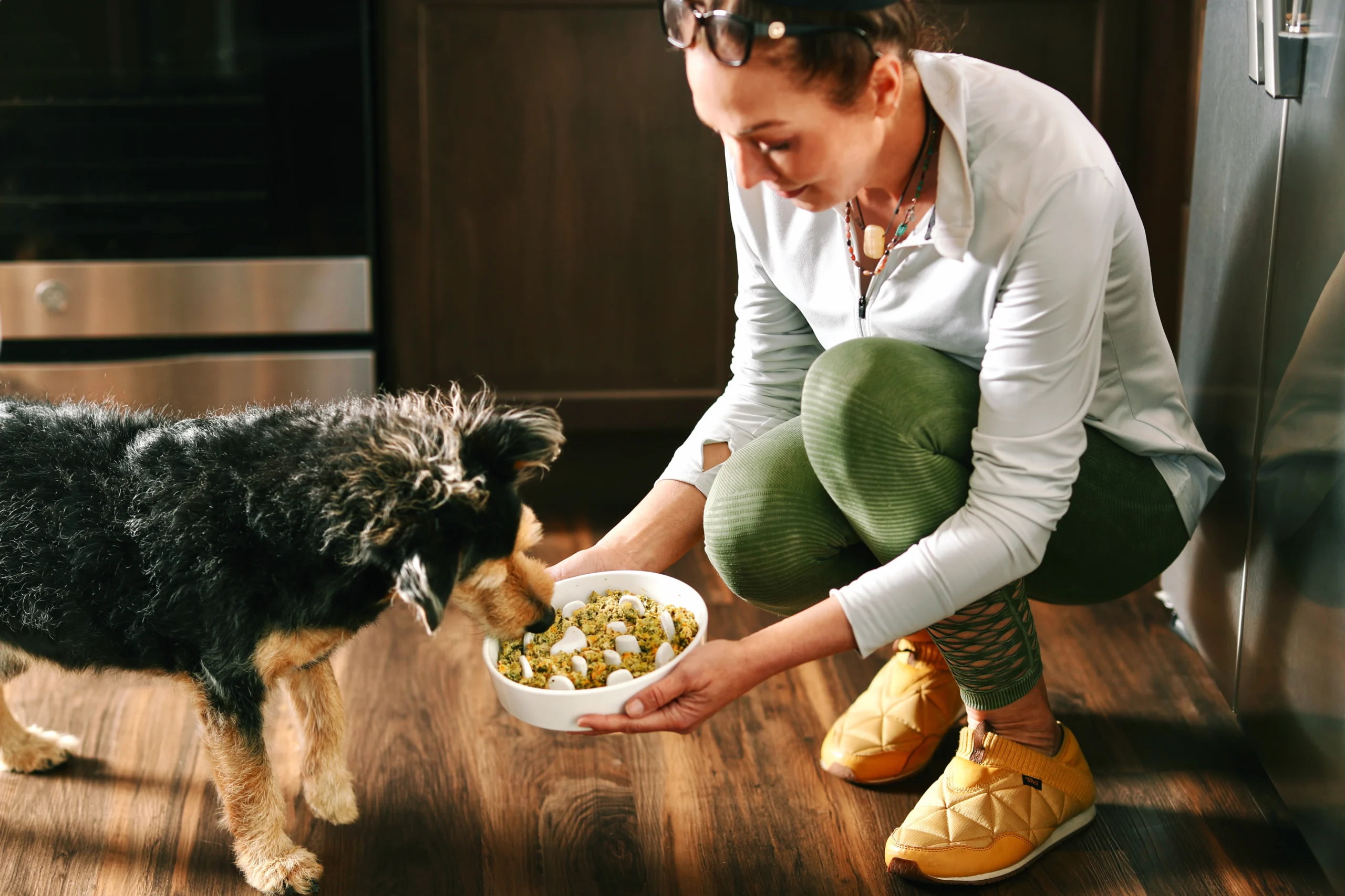 The Forever Dog Life Book | Rodney Habib And Dr. Karen Becker