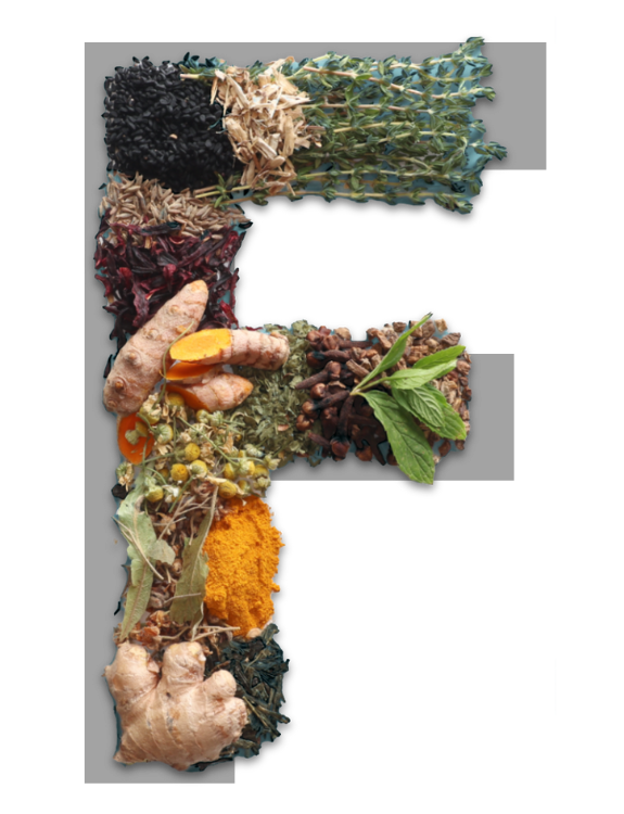 The Forever Dog Life Book | Rodney Habib And Dr. Karen Becker